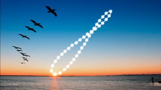 Shortest Day of the Year 2025 | When Is Winter Solstice 2025 | Star Walk