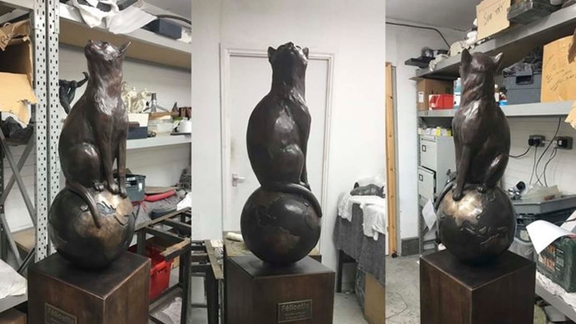 Chat dans l'Espace | Ce qui est arrivé à la chatte Felicette | Chat envoyé dans l'espace | Star Walk