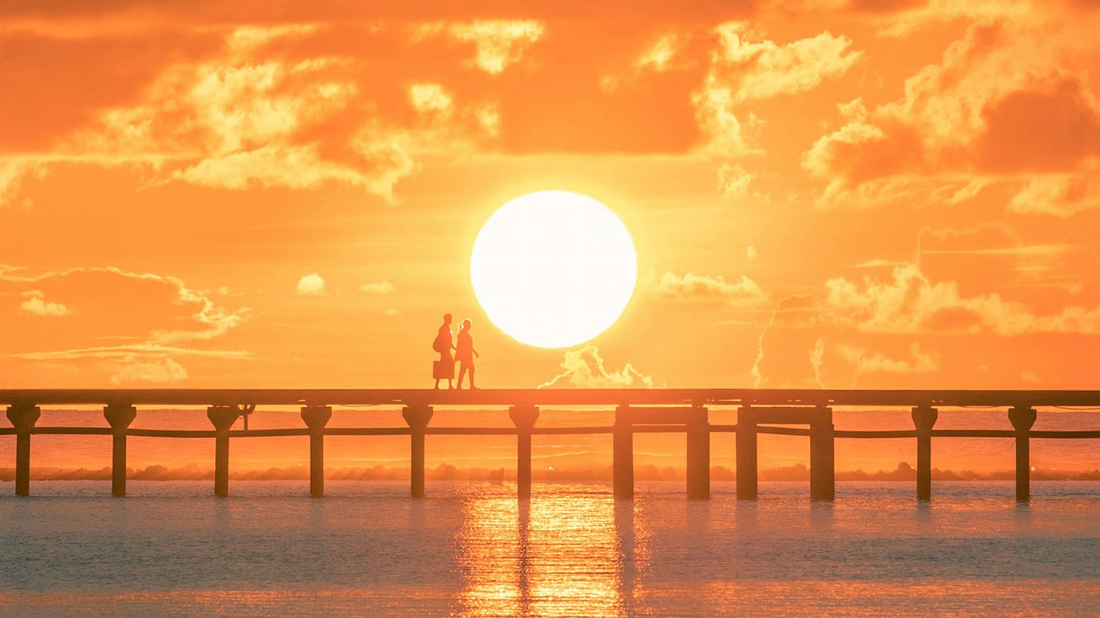 What Type of Star Is Our Sun | When Will The Sun Explode | Star Walk