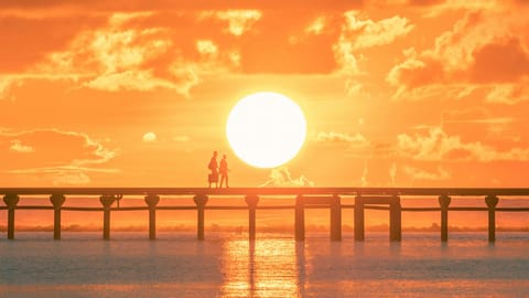 How Can You See The Northern Lights & Southern Lights | Aurora Borealis ...