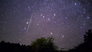 Taurid Meteor Shower — Peak Dates | Southern Taurids, Northern Taurids ...