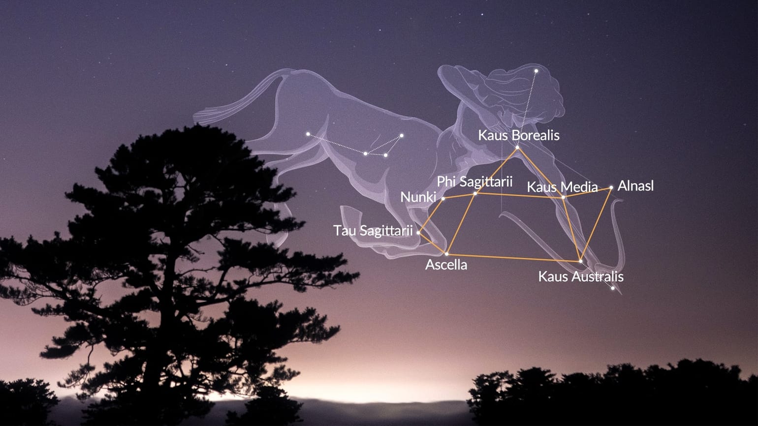 October Stars | October Constellation Pegasus, Piscis Austrinus | Fall ...