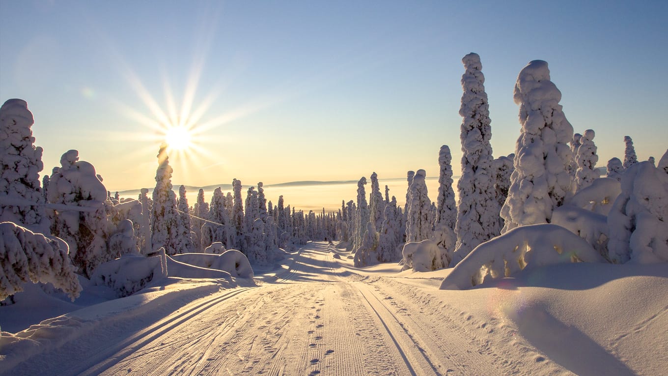 Winter Solstice 2025 | Shortest Day of the Year 2025 | When Is Winter ...