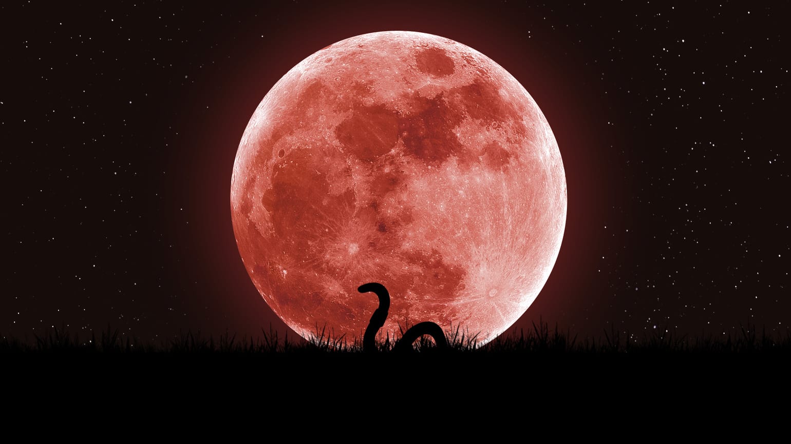 Celestial Events 2025 | Rare Astronomy Events 2025 | Space Events ...