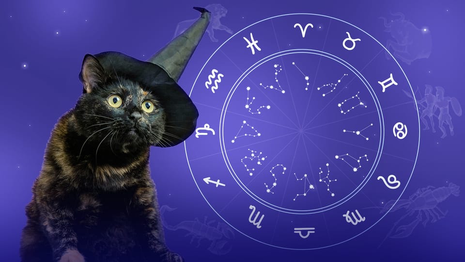 Constellation Names | Zodiac Constellations | How Many Constellations ...
